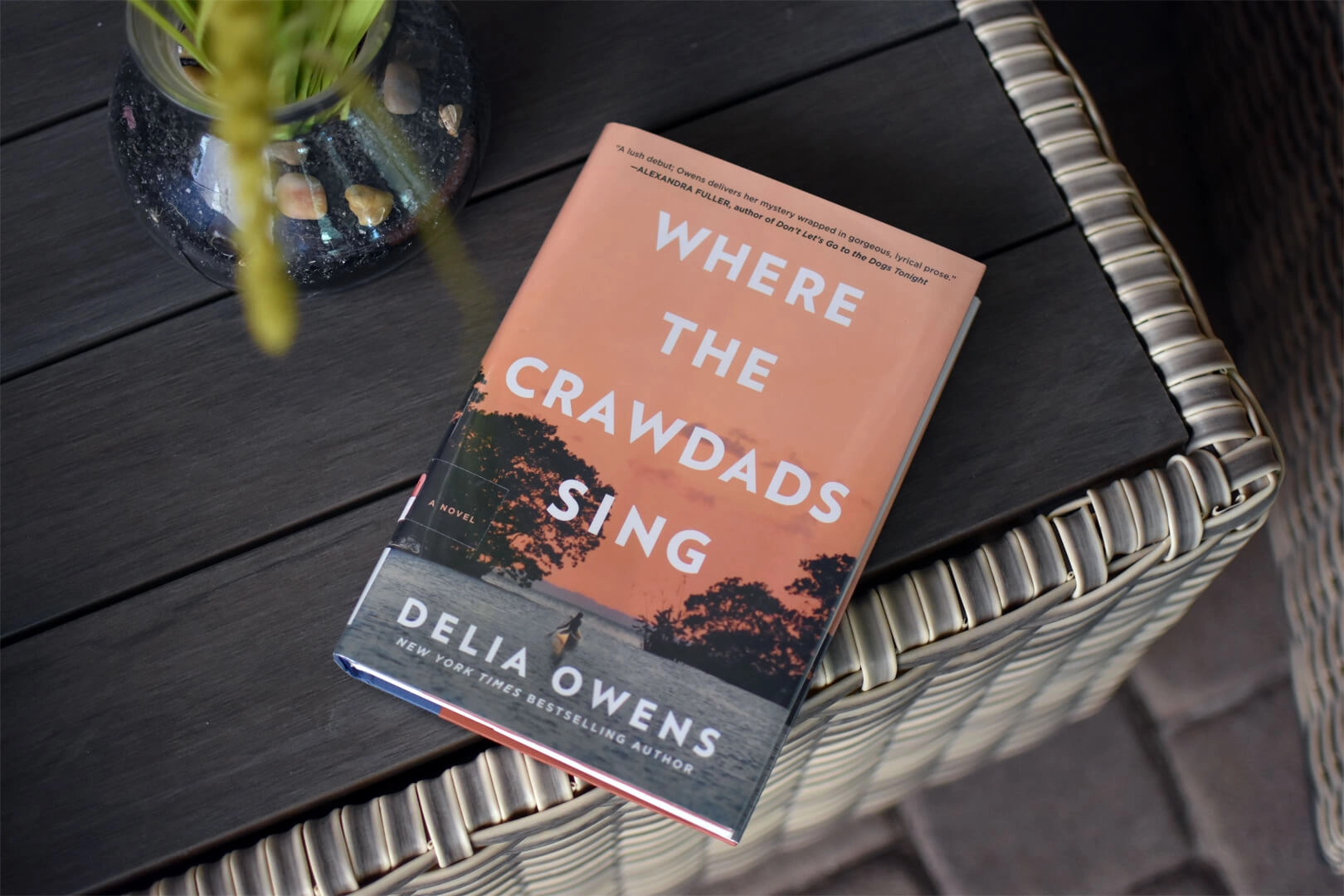 Book Club Questions for Where the Crawdads Sing by Delia Owens - Book ...